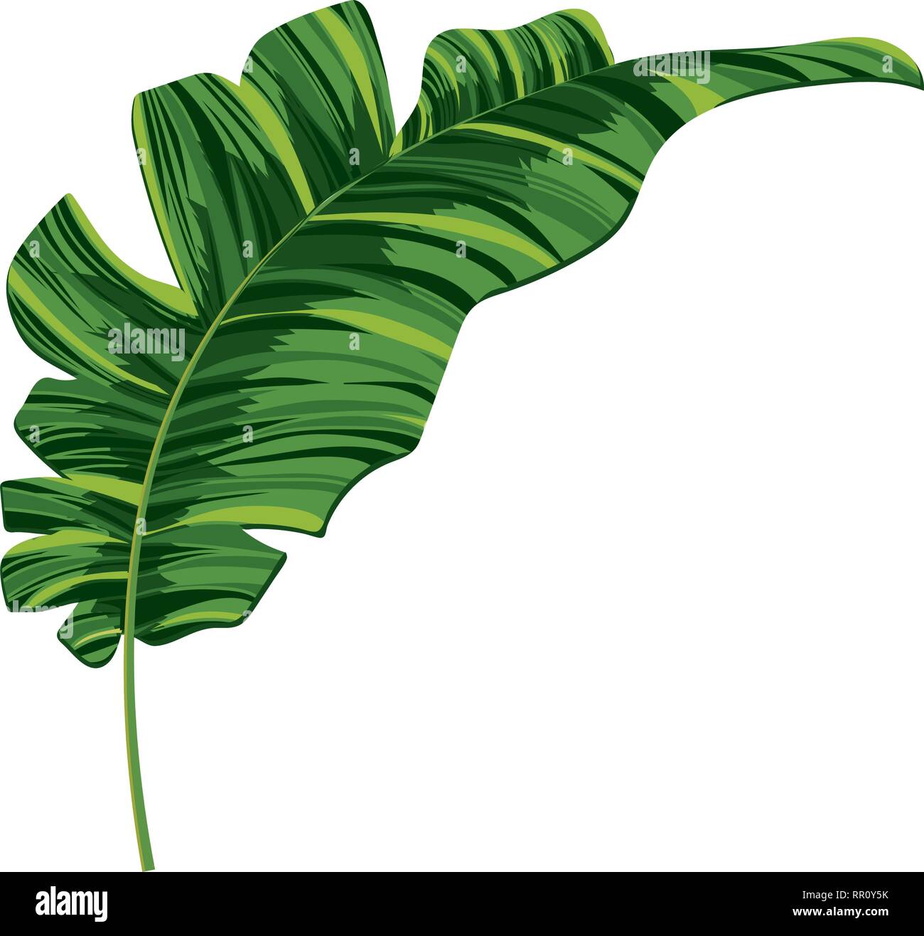 nature leaf cartoon Stock Vector Image & Art - Alamy