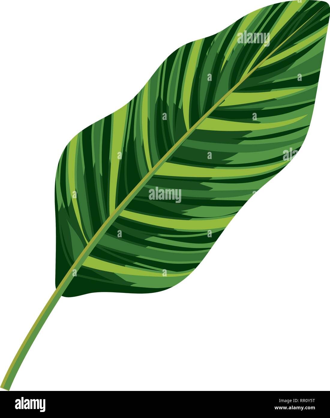 nature leaf cartoon Stock Vector Image & Art - Alamy