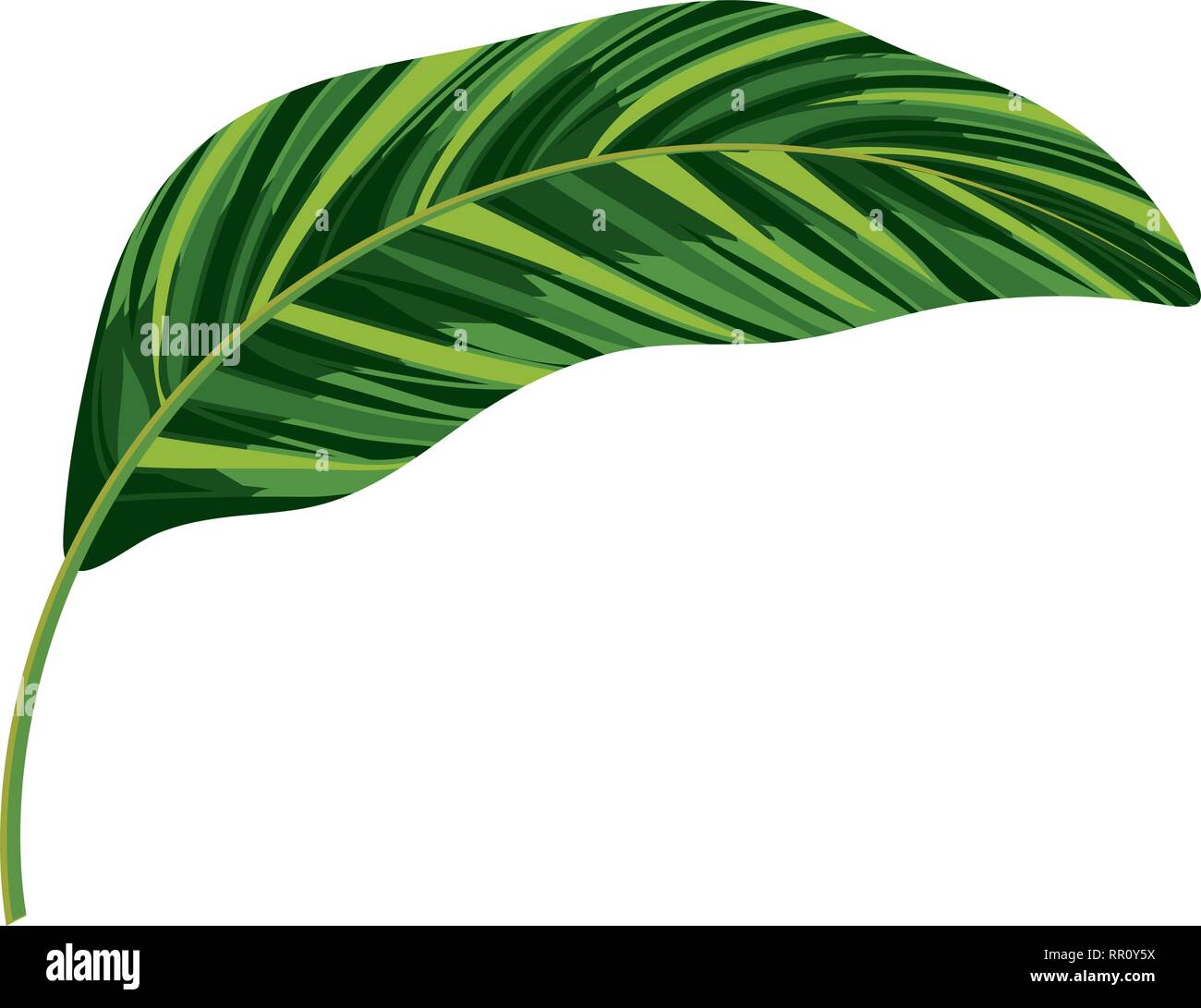 nature leaf cartoon Stock Vector Image & Art - Alamy