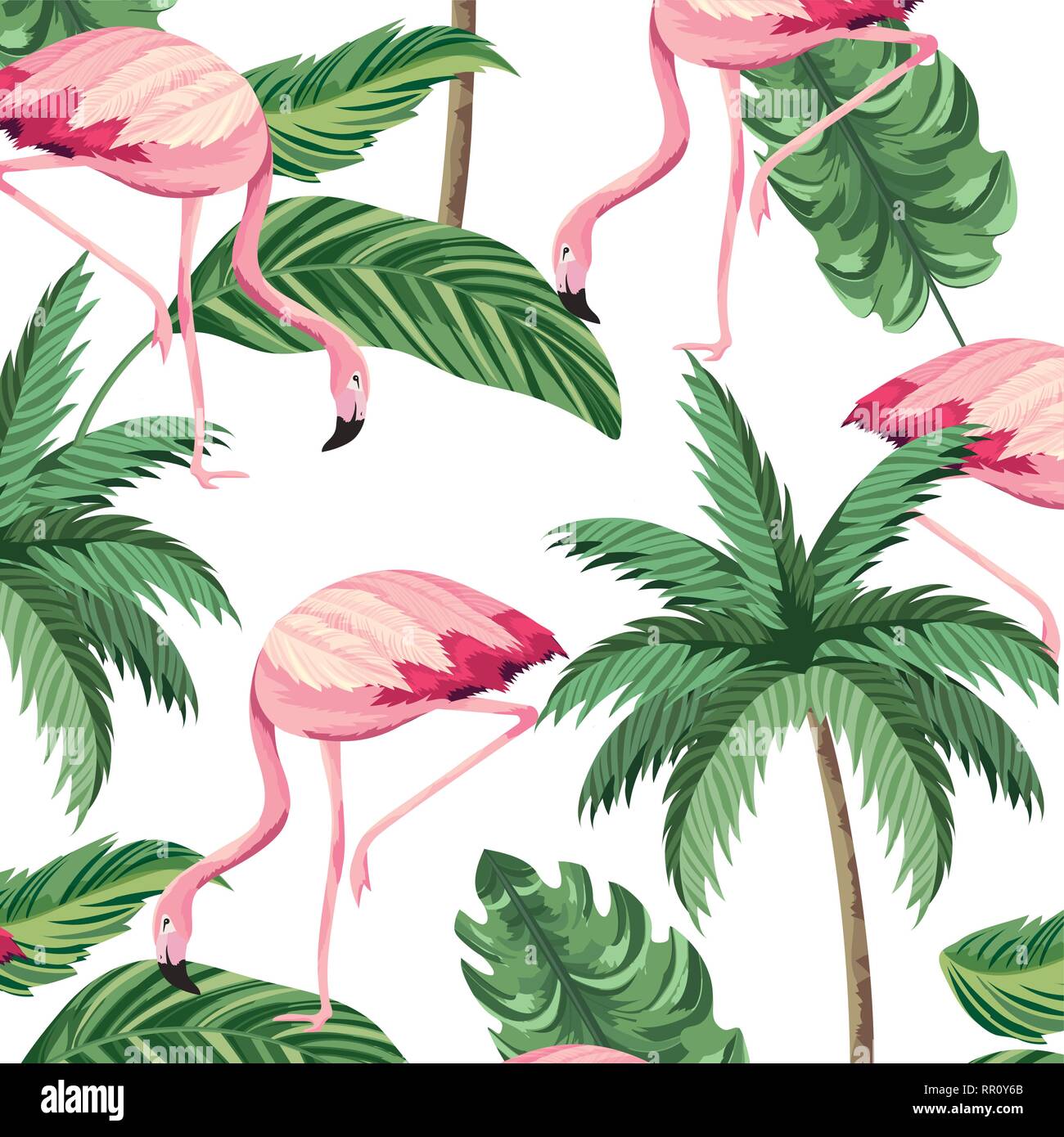 tropical flamingos cartoon Stock Vector Image & Art - Alamy