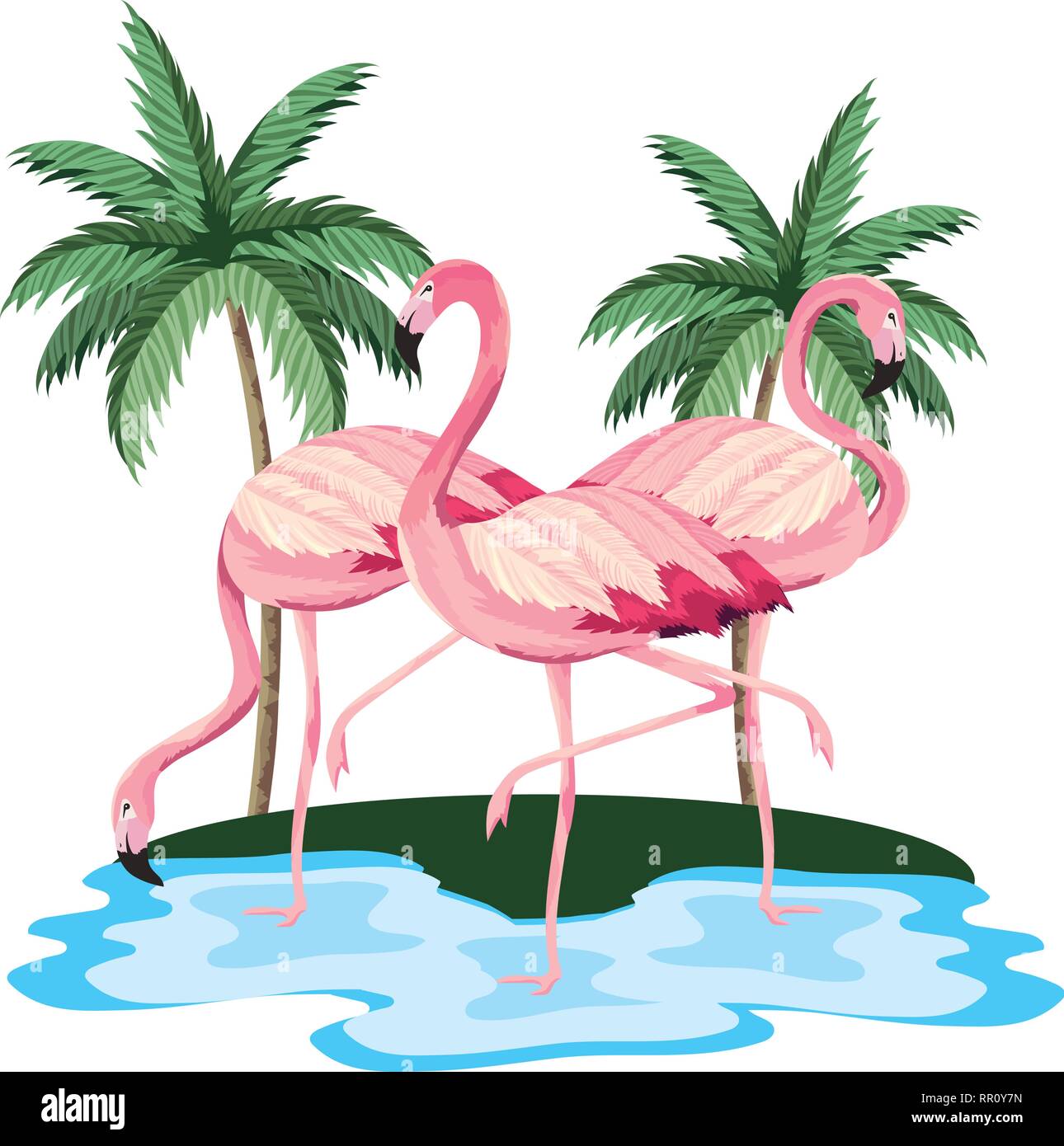 tropical flamingos cartoon Stock Vector Image & Art - Alamy