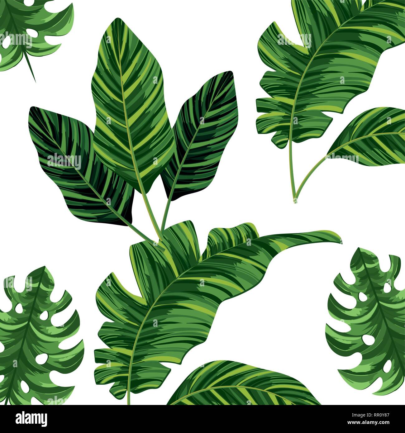 nature leafs cartoon Stock Vector Image & Art - Alamy