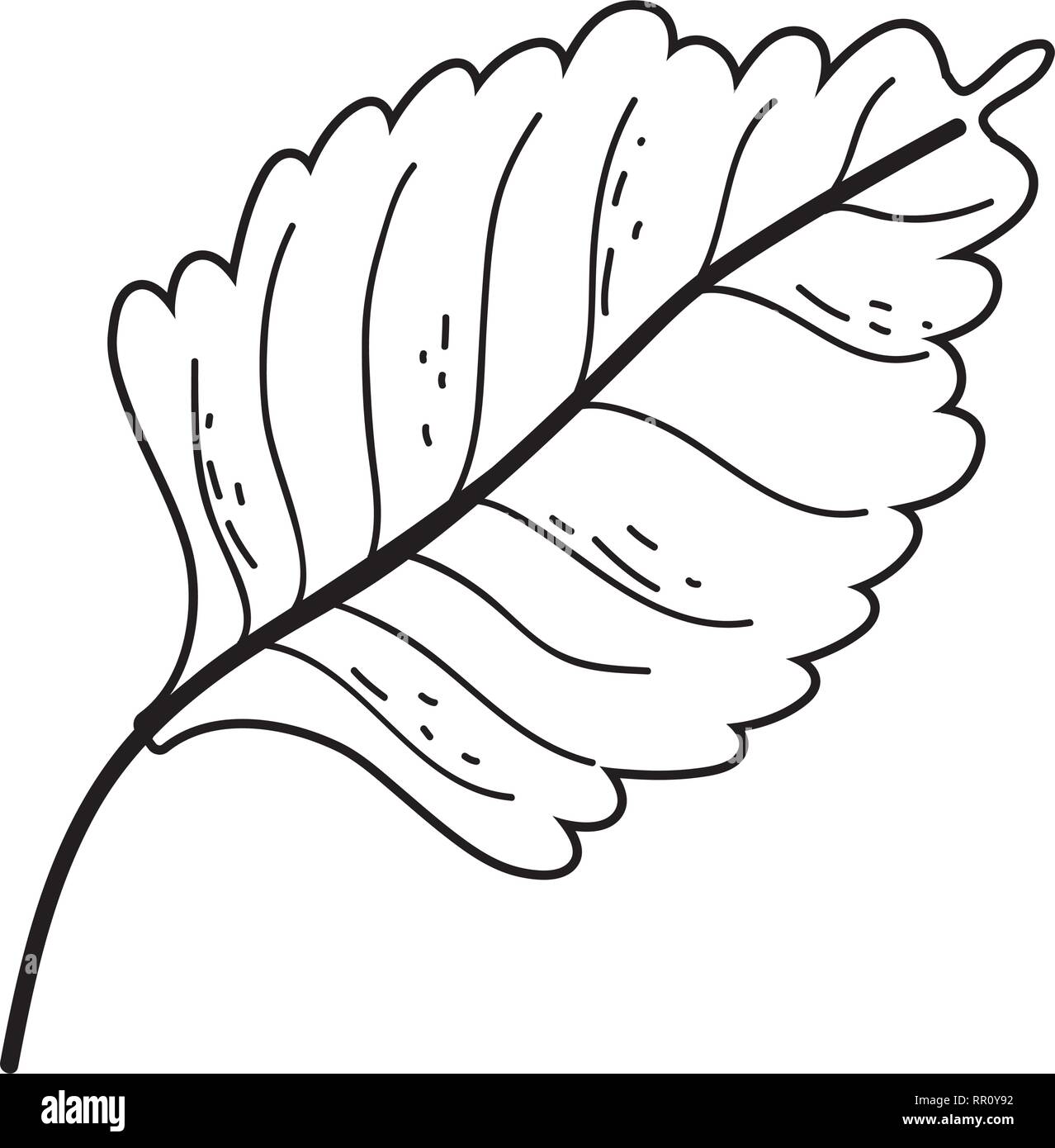 nature leaf cartoon Stock Vector Image & Art - Alamy