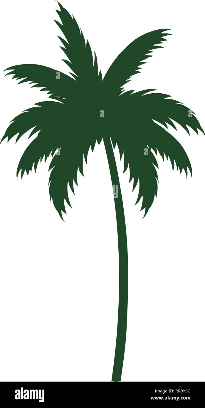 nature palm cartoon Stock Vector Image & Art - Alamy