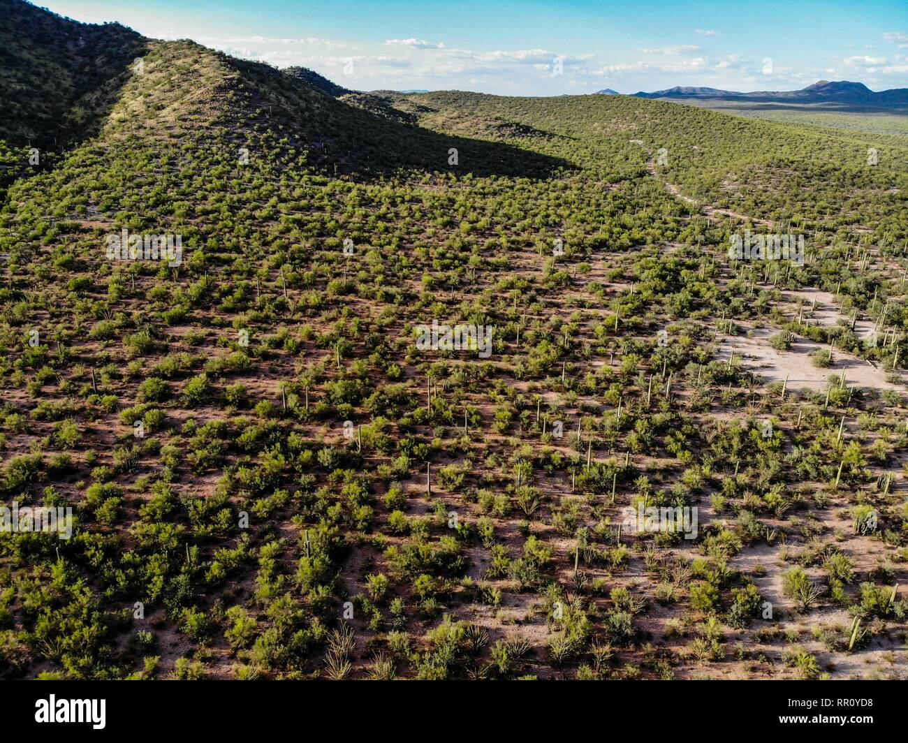 Vista aerea del desierto, Caborca Sonora. Aerial view of the desert ...