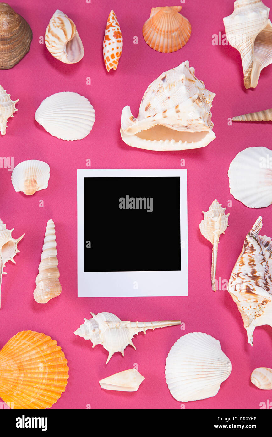 Seashells and the blank retro image on purple background Stock Photo ...