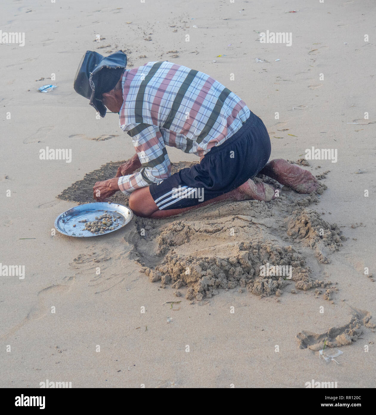 A man digging up beach sand to collect cockle shells at the beach at ...