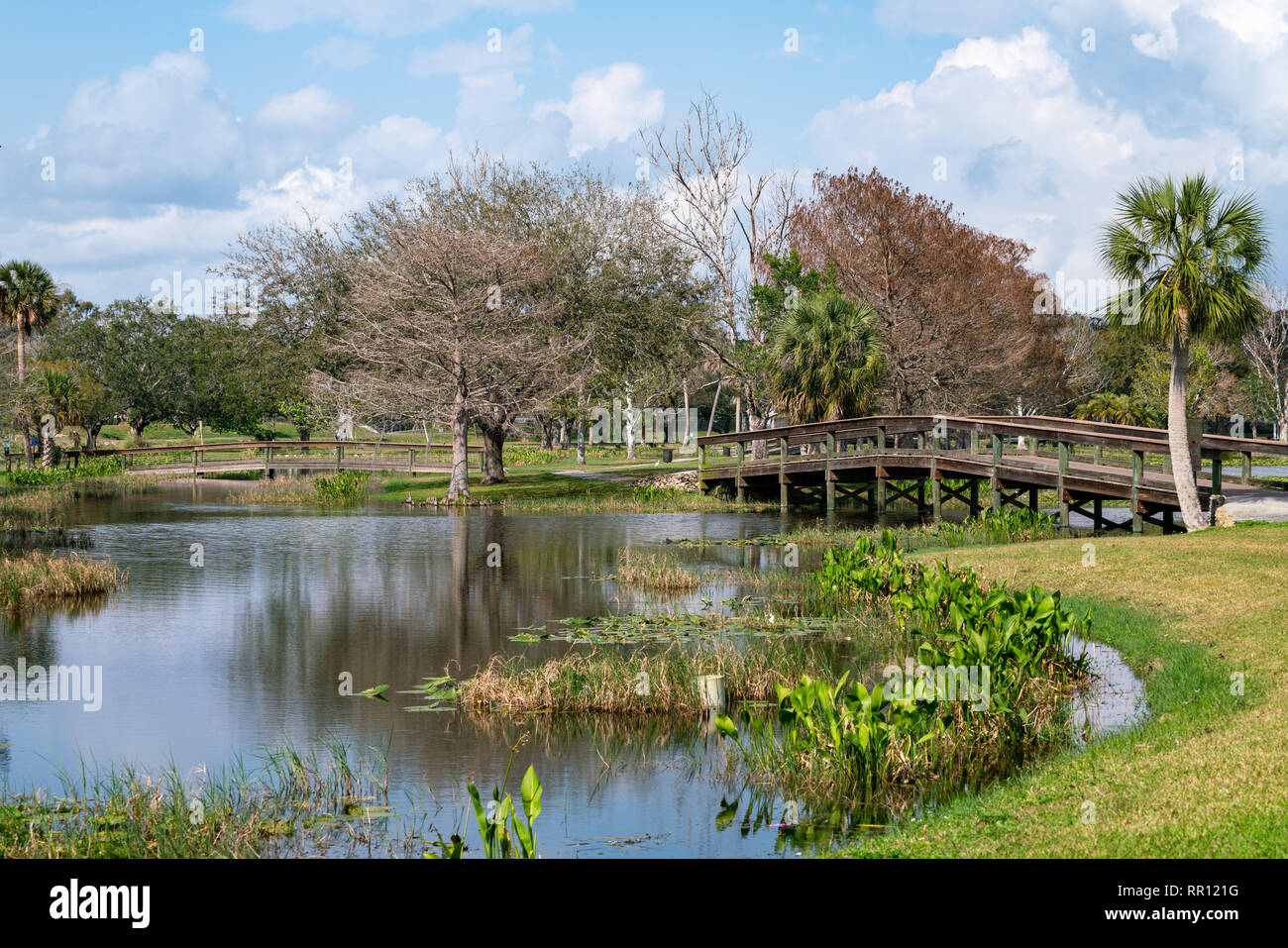 Florida Park in February Stock Photo - Alamy