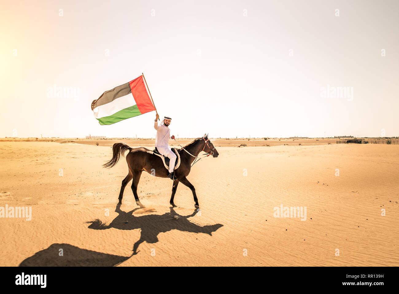 Uae national day horse hi-res stock photography and images - Alamy