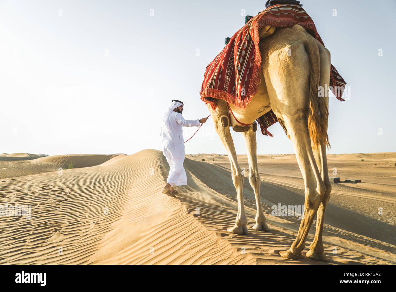Arab Man Riding Camel On High Resolution Stock Photography and Images ...