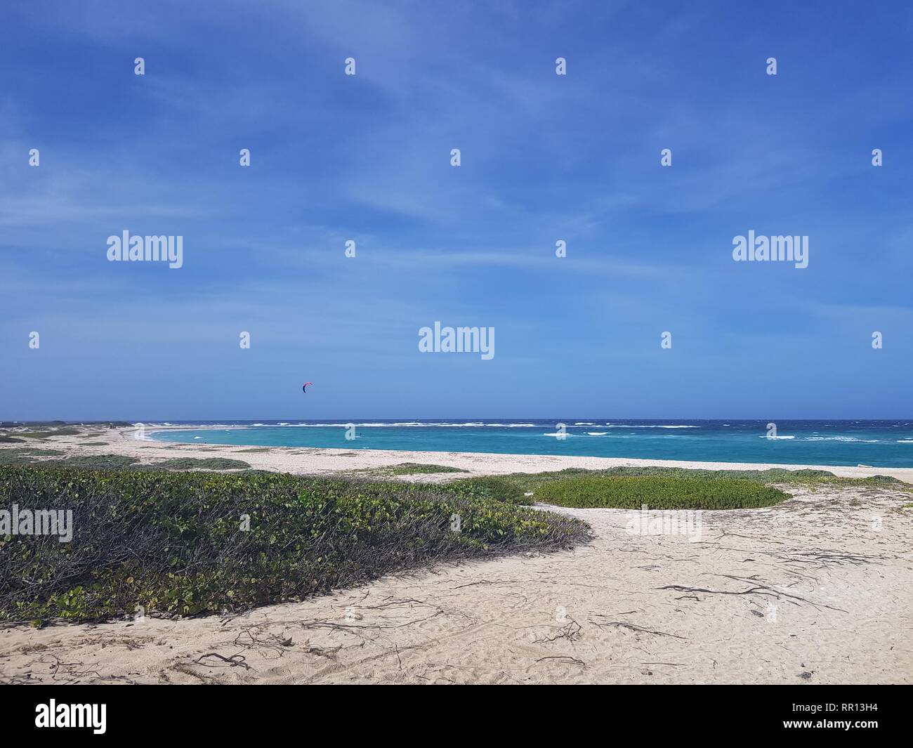 Wild Aruban nature – On the road again Stock Photo - Alamy