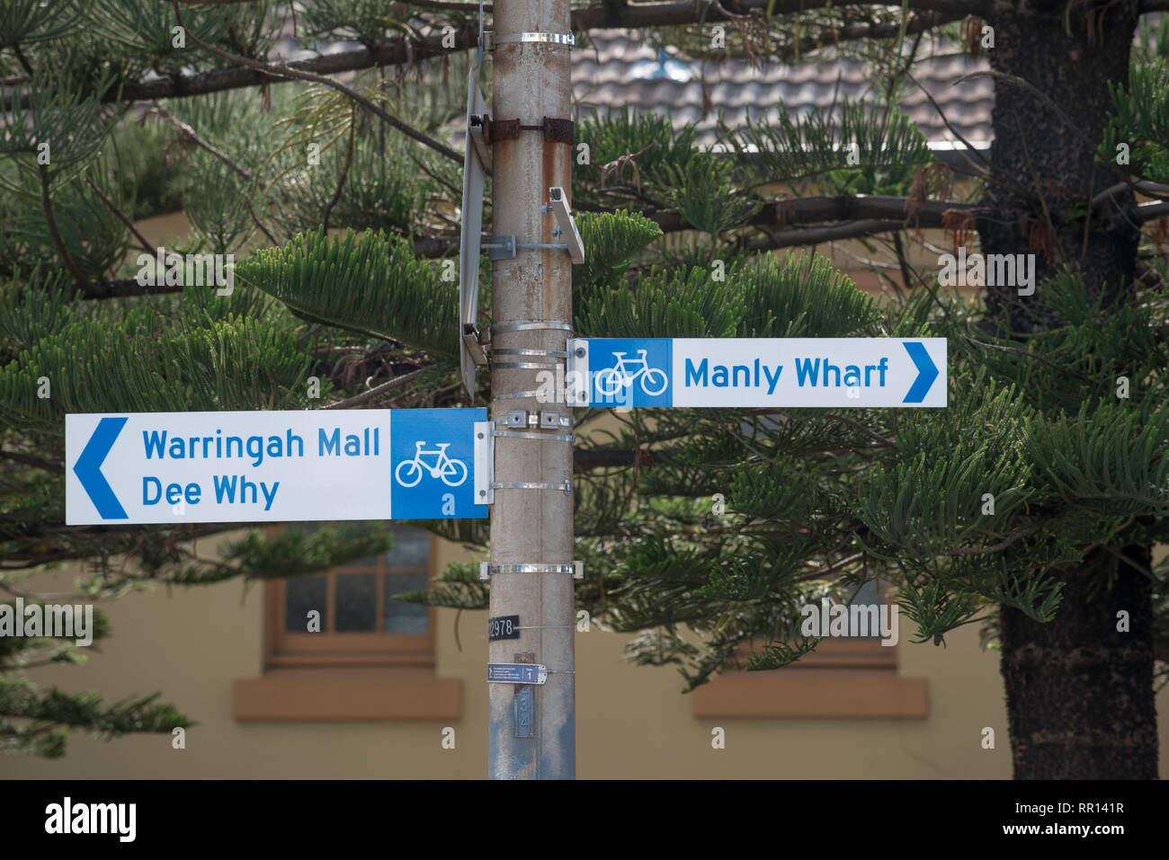 Street signs for cyclists at Sydney's Manly Beach directing riders to ...