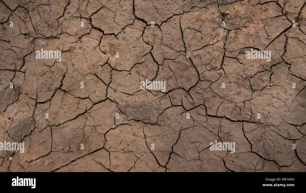 Texture of grunge dry cracking parched earth , Global warming effect ...