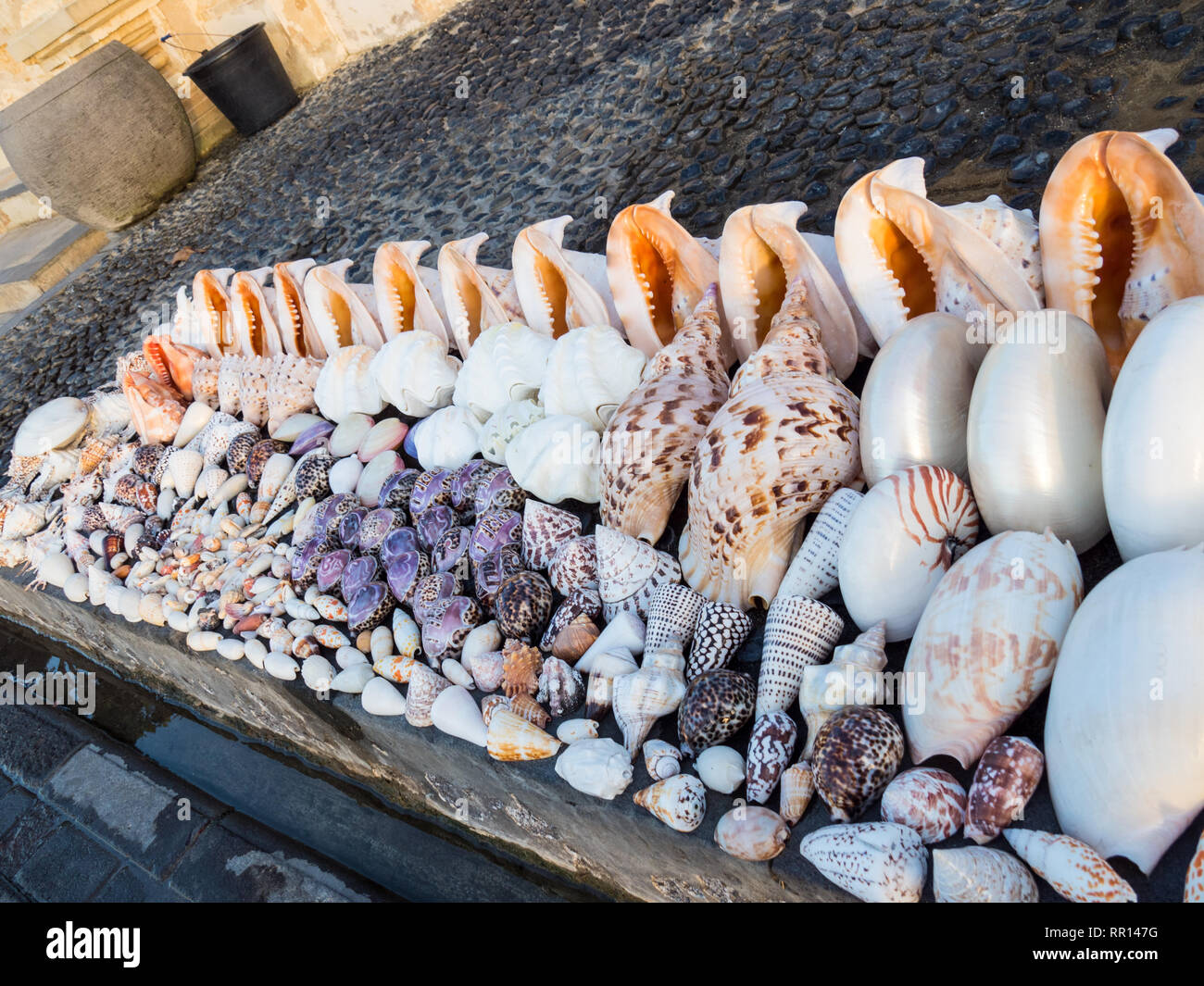 Sea shells sale kuta beach hi-res stock photography and images - Alamy