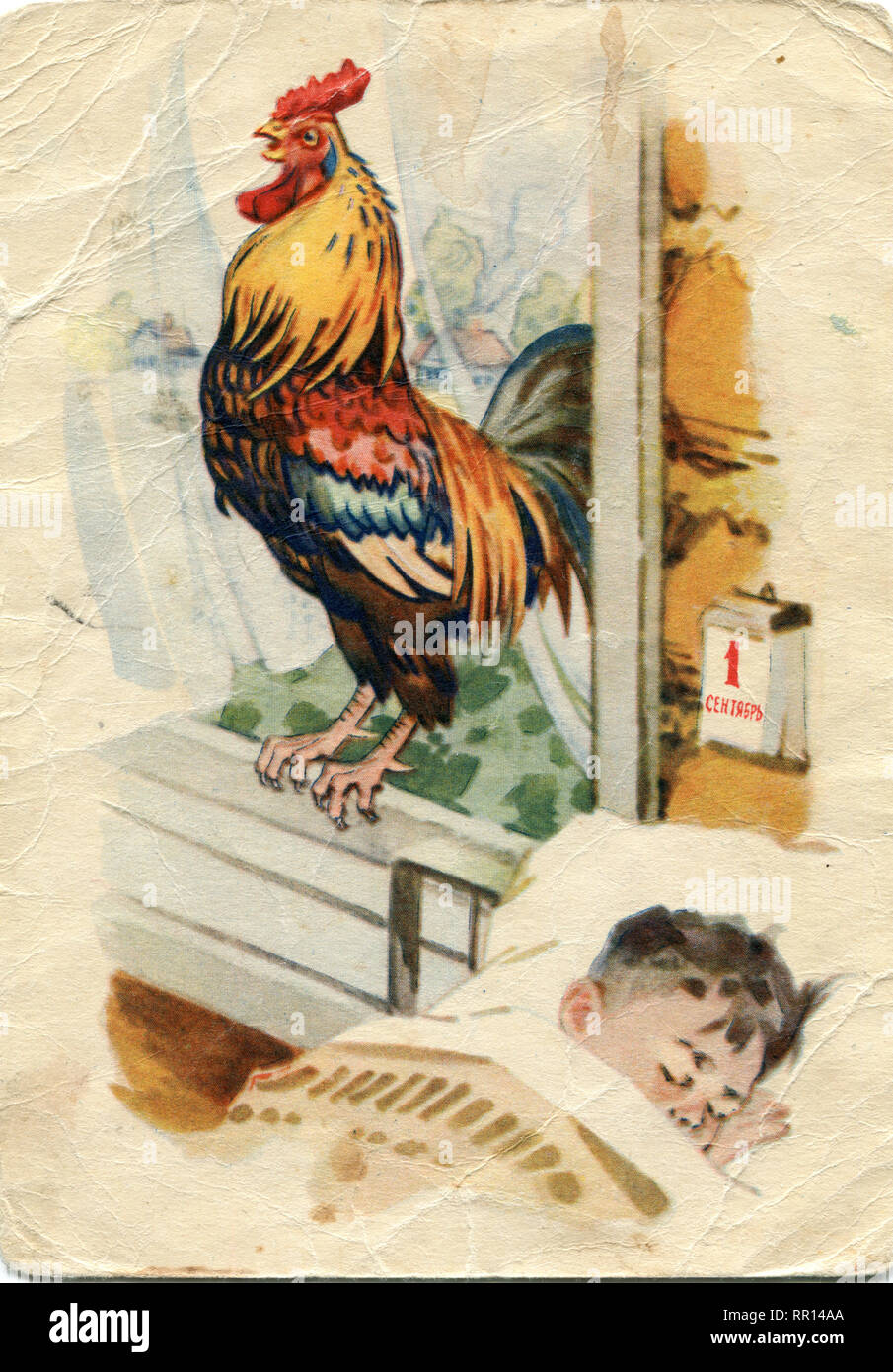 Greeting card USSR. 1958. The first of September a rooster wakes up a ...