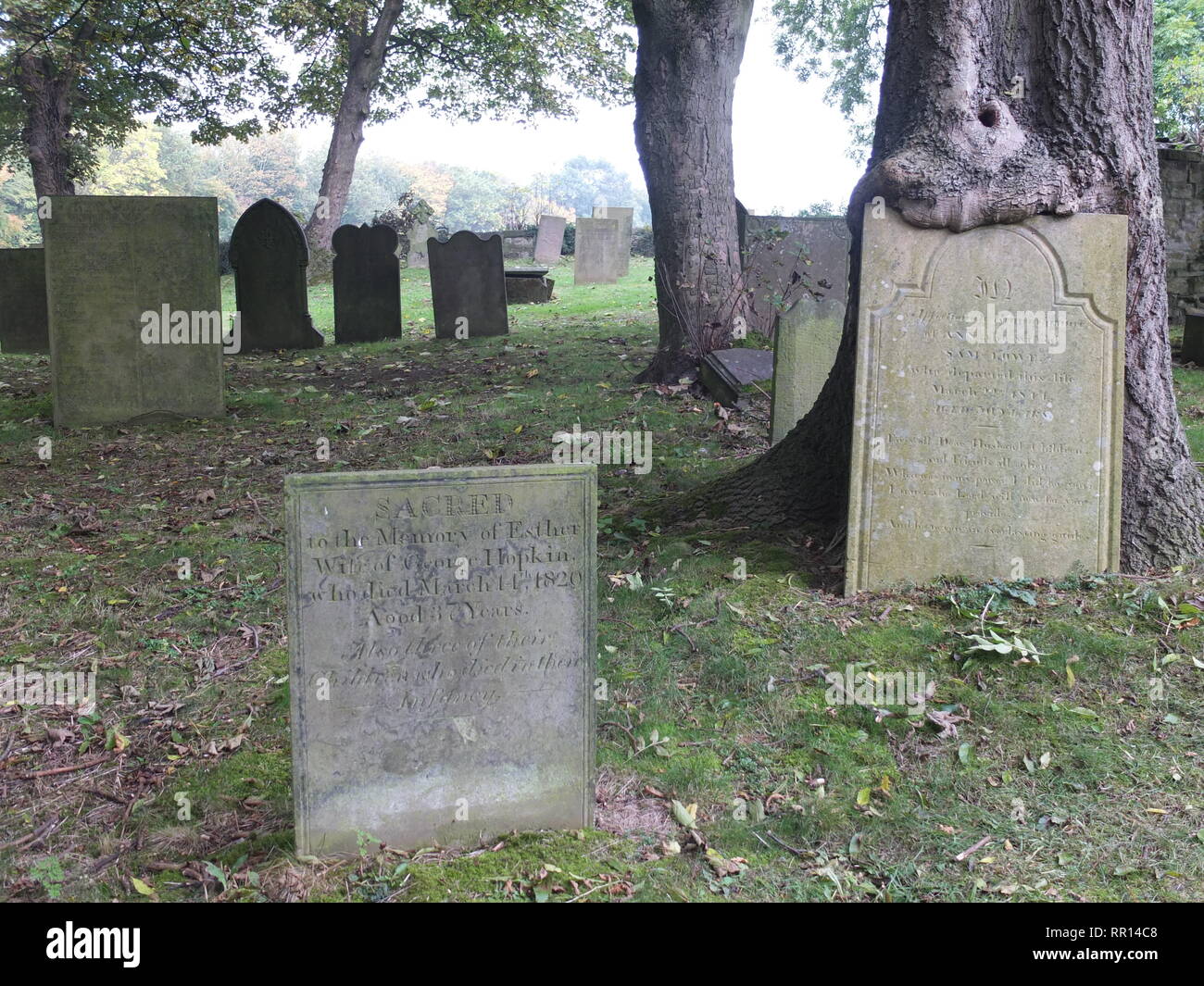 Hs2 threatened site hi-res stock photography and images - Alamy