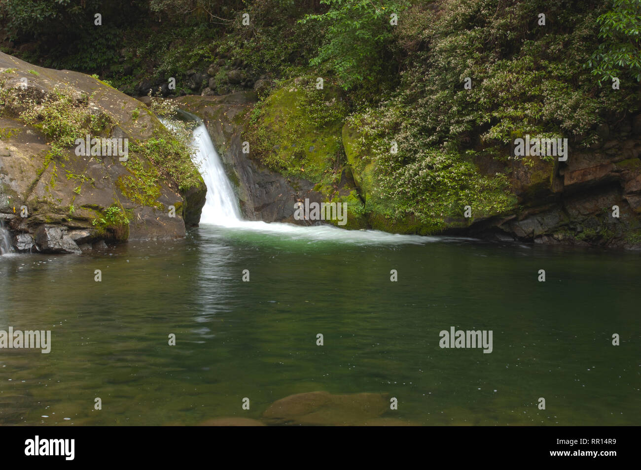 Ladies Well, Chichester State Forest, New South Wales, Australia Stock ...