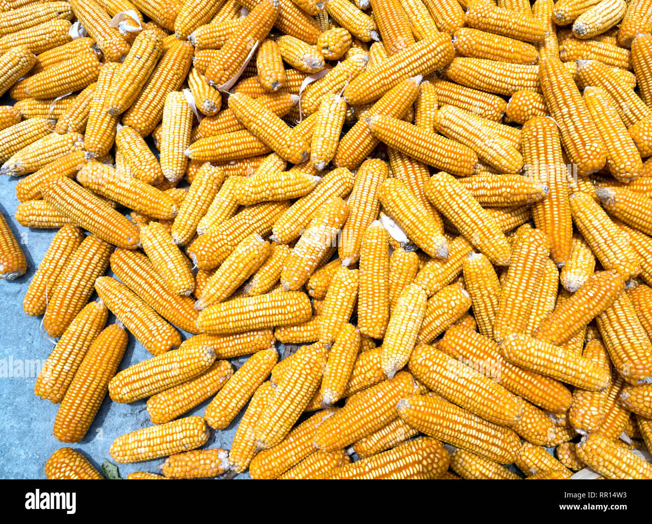Corn floor hi-res stock photography and images - Alamy