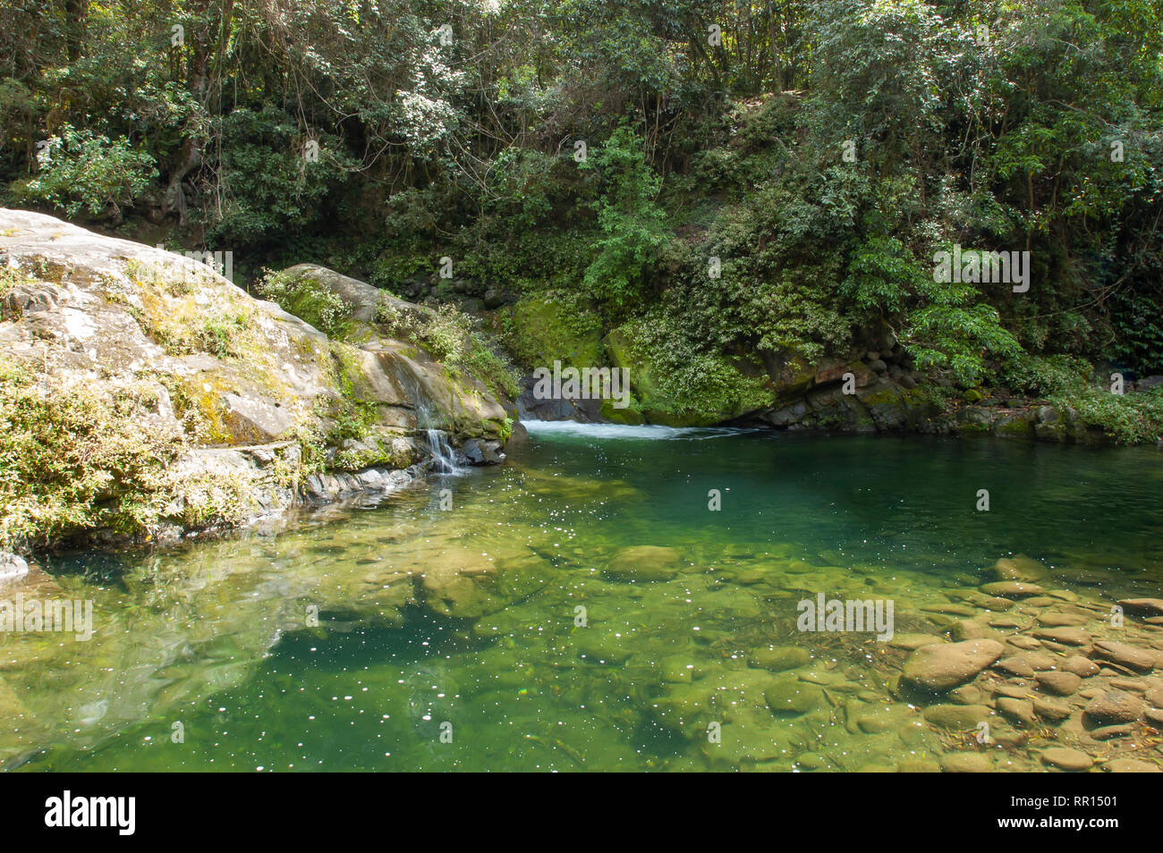 Ladies Well, Chichester State Forest, New South Wales, Australia Stock ...