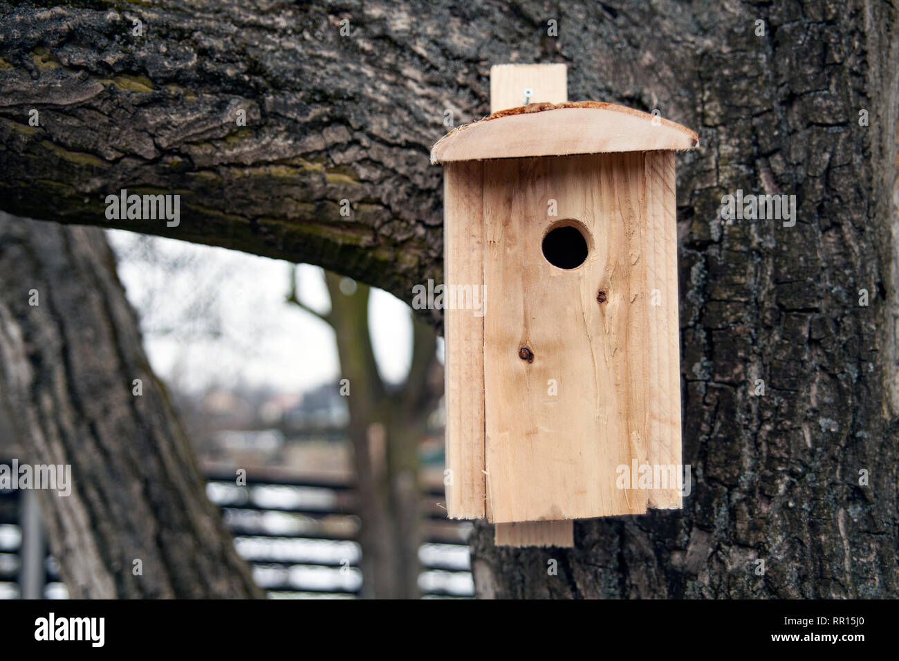 Shed for birds on trees. Wooden birdhouse on the tree Stock Photo - Alamy