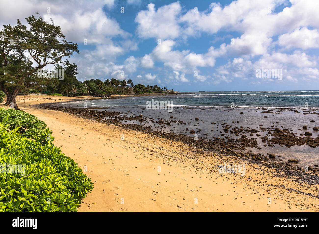 The coast along Punaluu Beach Park, Oahu, Hawaii Stock Photo - Alamy