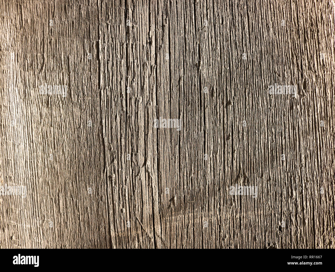 Texture of old rough wood. Abstract background for design. Vintage ...