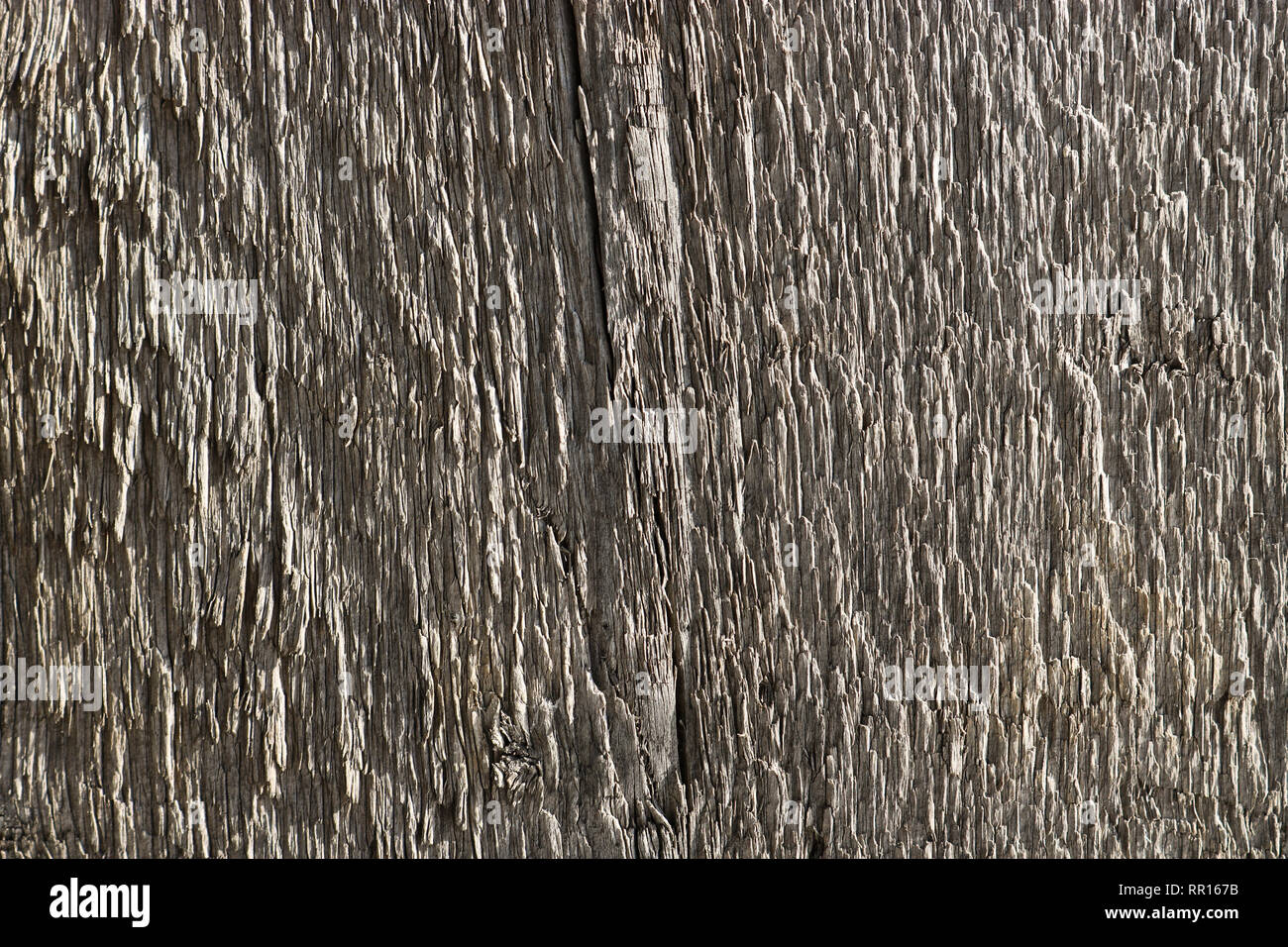 Texture of old rough wood. Abstract background for design. Vintage ...