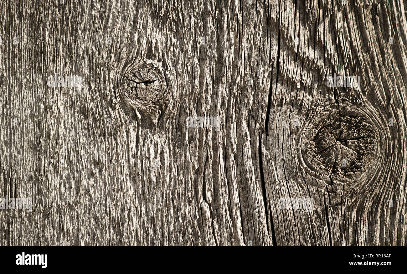Texture of old rough wood. Abstract background for design. Vintage ...