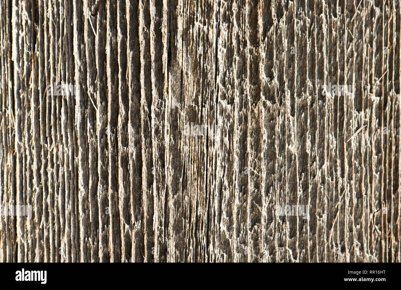 Texture of old rough wood. Abstract background for design. Vintage ...