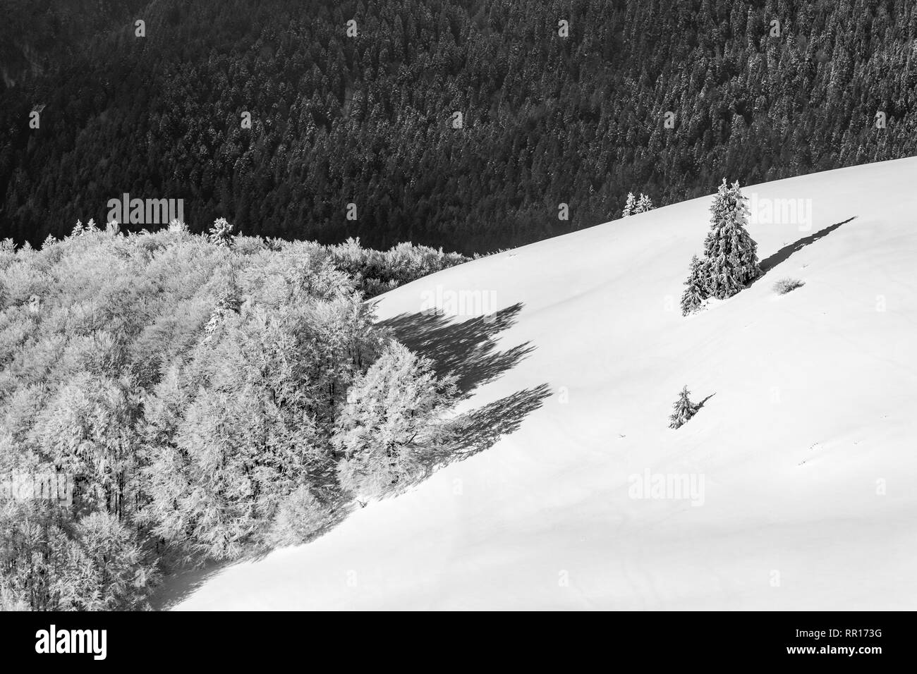 Winter background artistic image Black and White Stock Photos & Images ...