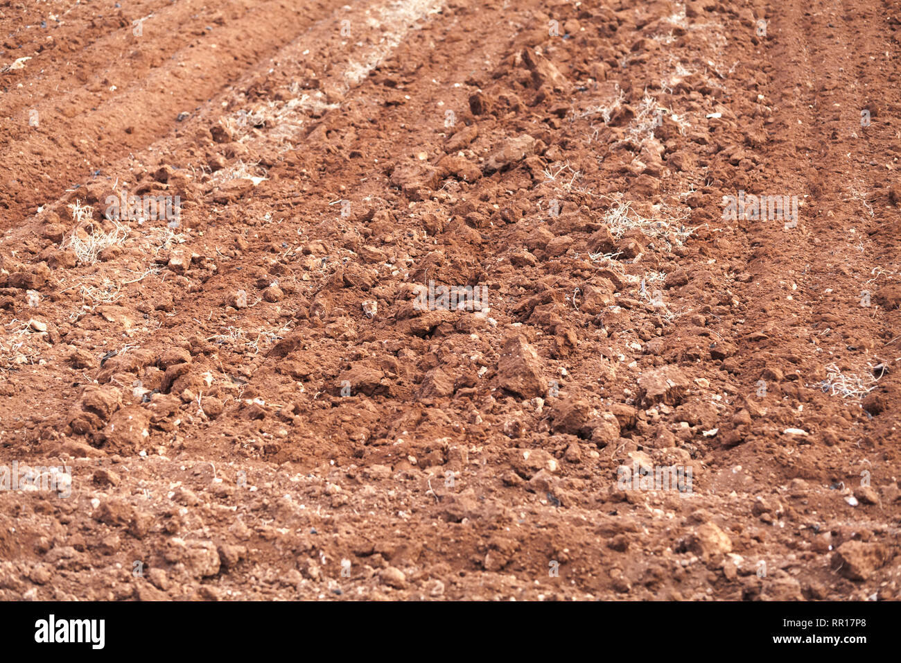 Red soil land hi-res stock photography and images - Alamy