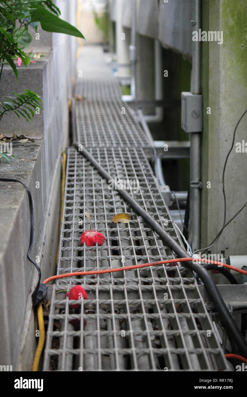 Elongated Path High Resolution Stock Photography and Images - Alamy