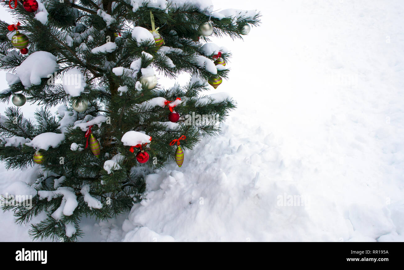 Part of fir tree hi-res stock photography and images - Alamy