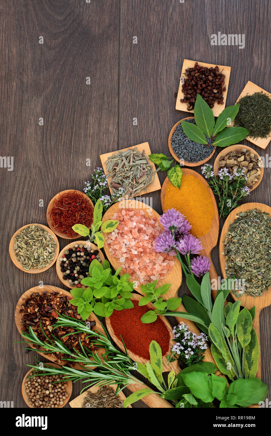 Fresh and dried herb and spice seasoning selection in oak wood spoons ...