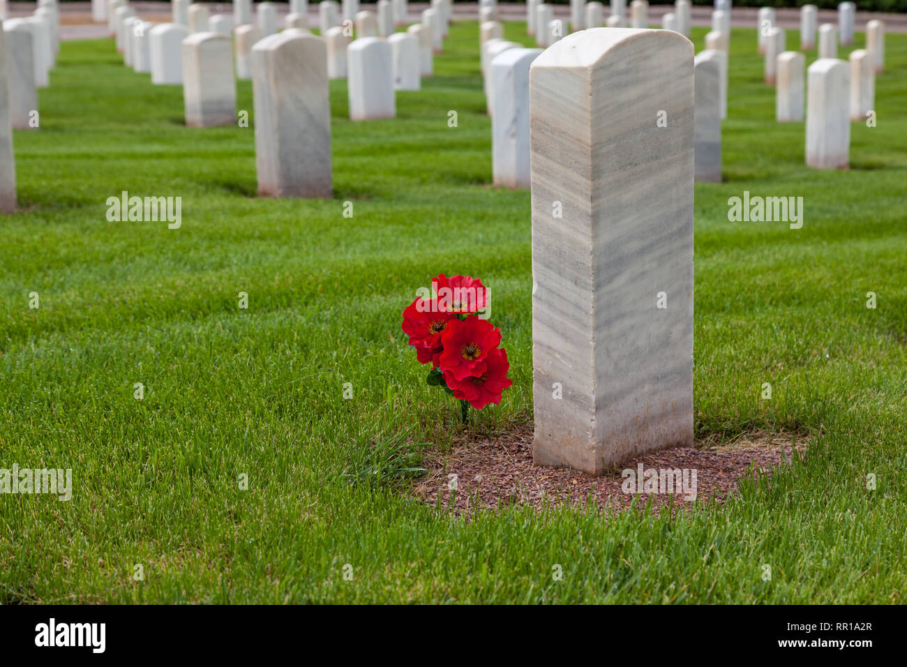 Red poppy flowers placed next to a military headstone at the Hot ...