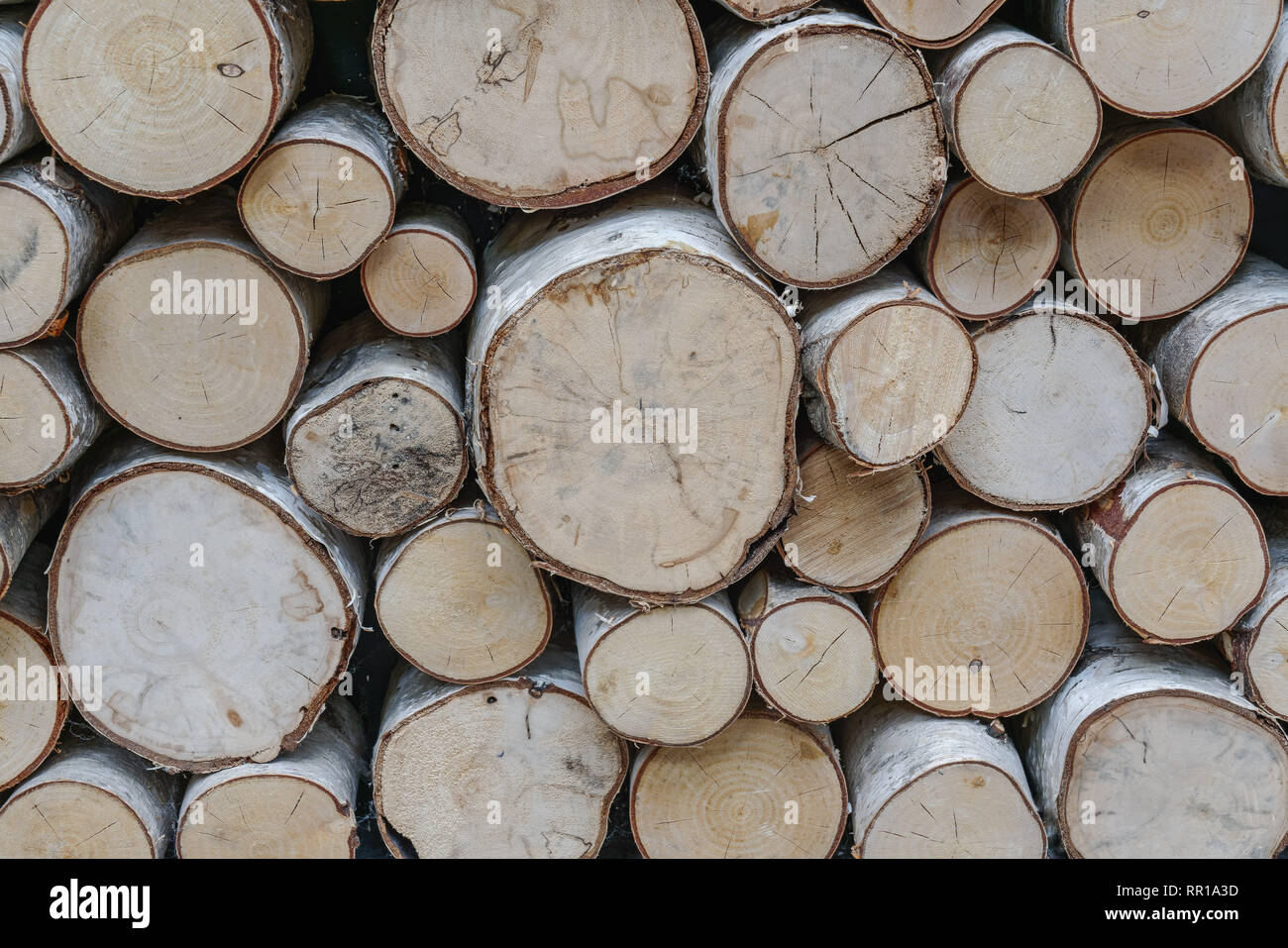 White ends of logs hi-res stock photography and images - Alamy