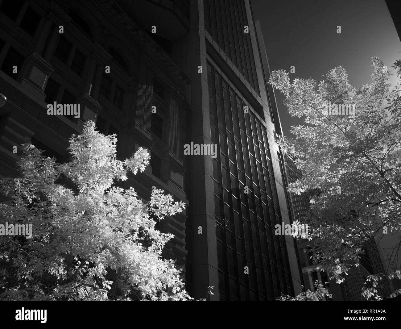 Infra red cityscapes with vegetation Stock Photo - Alamy
