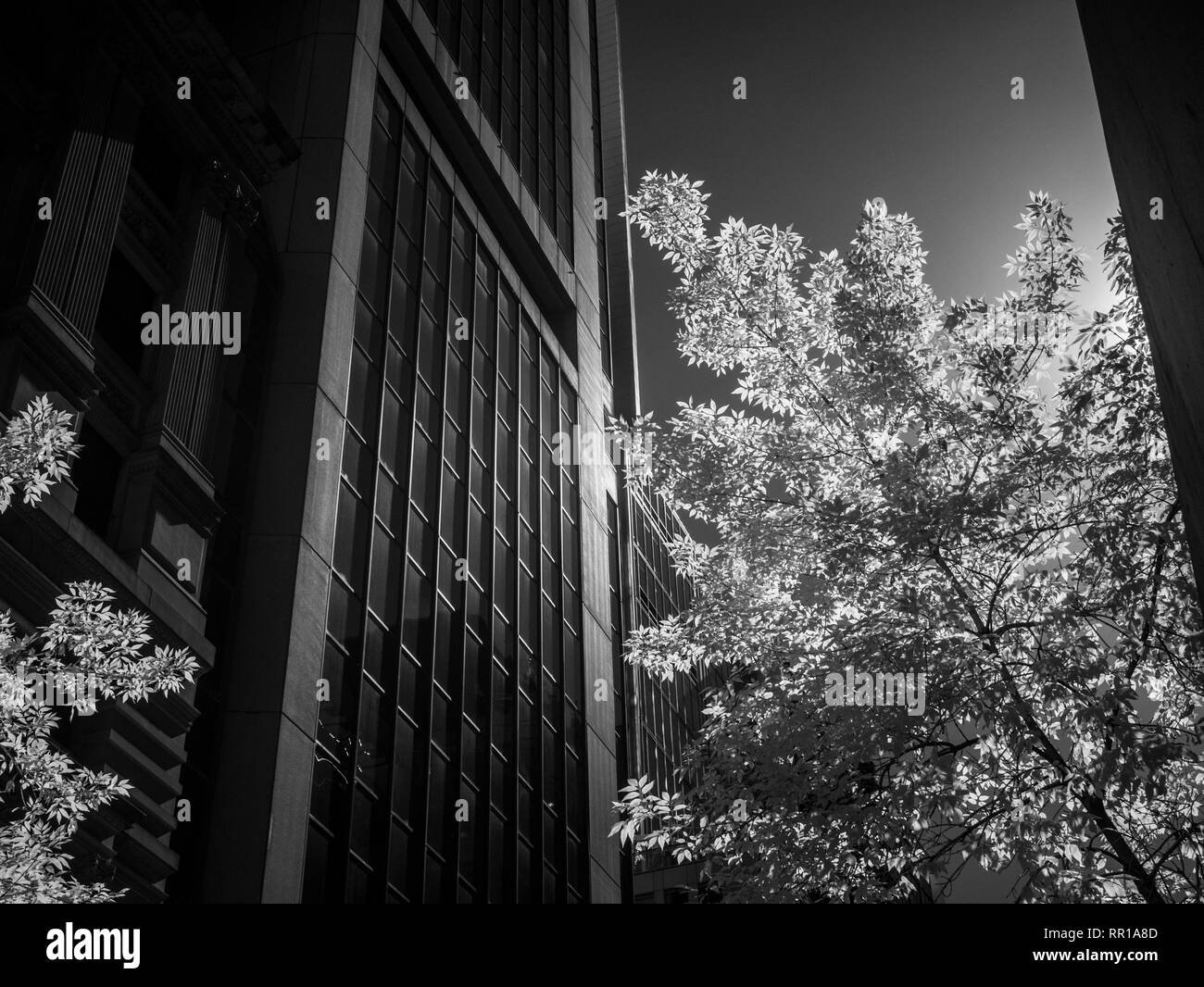 Infra red cityscapes with vegetation Stock Photo - Alamy