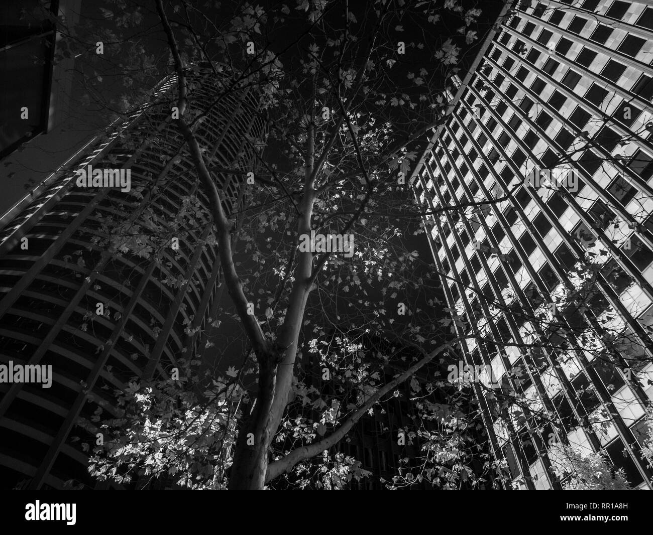 Infra red cityscapes with vegetation Stock Photo - Alamy