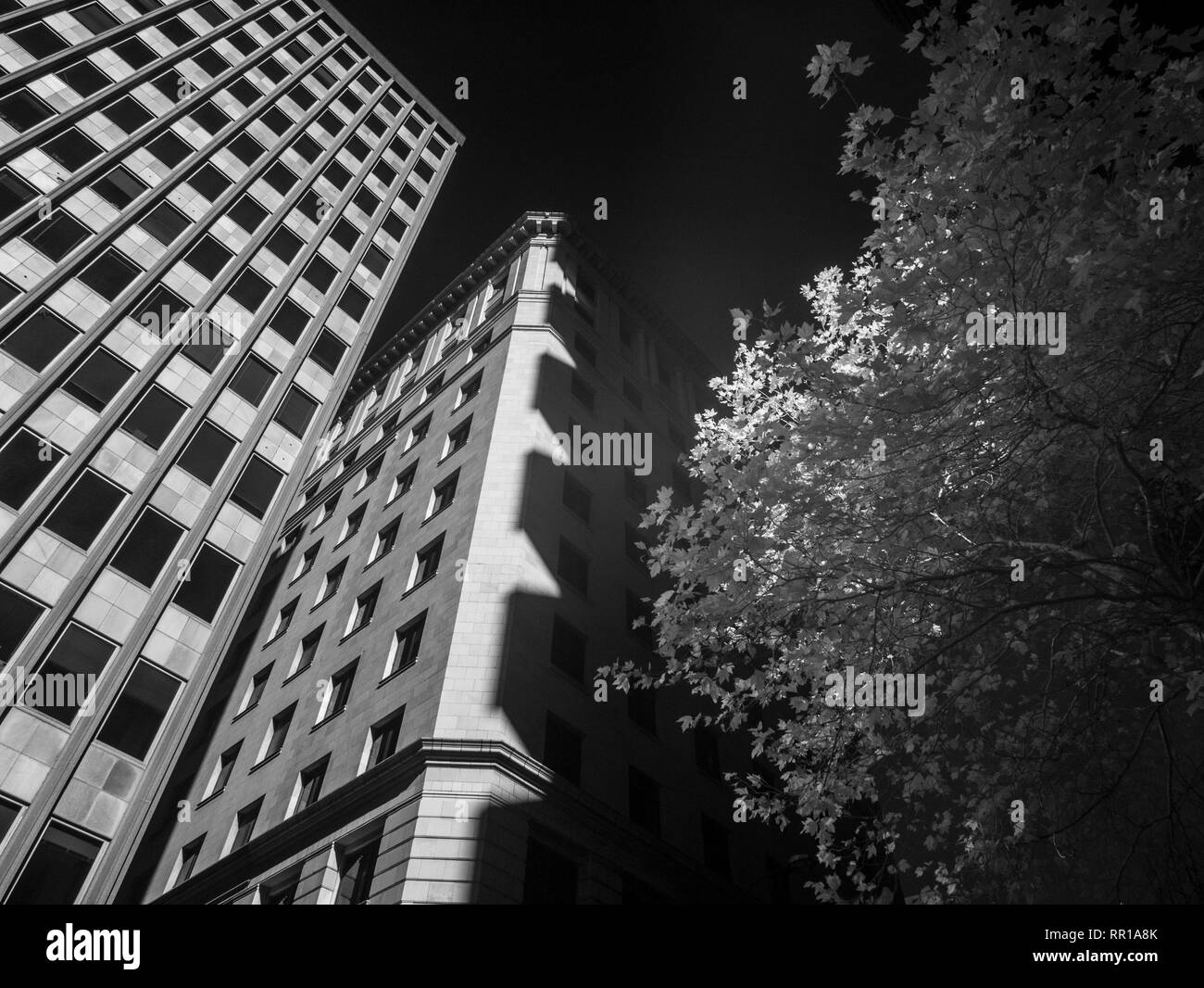 Infra red cityscapes with vegetation Stock Photo - Alamy