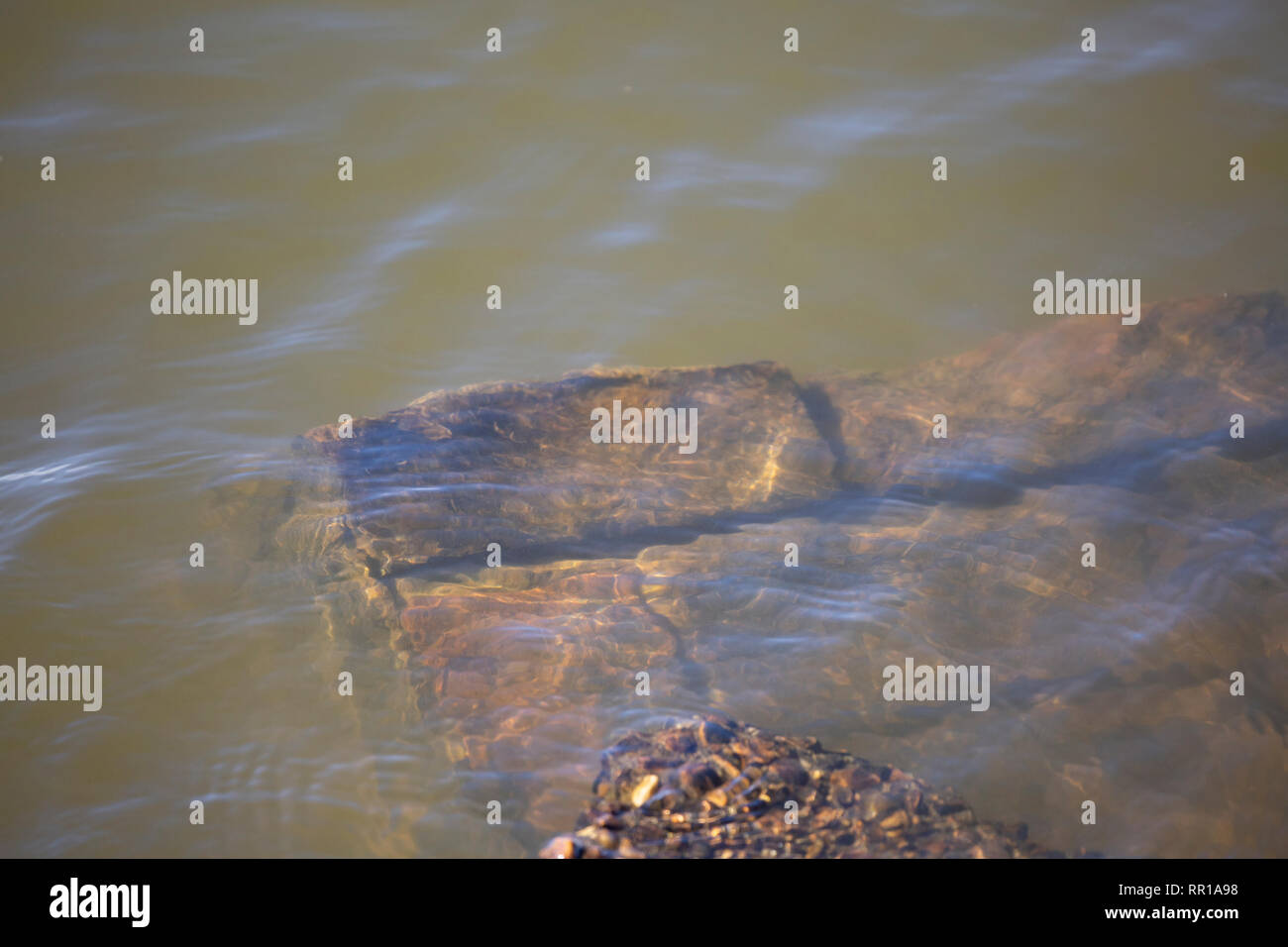 Section of brick wall submerged in murky water Stock Photo - Alamy