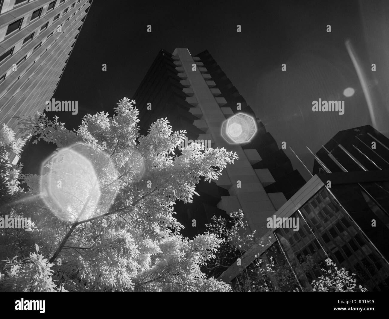 Infra red cityscapes with vegetation Stock Photo - Alamy
