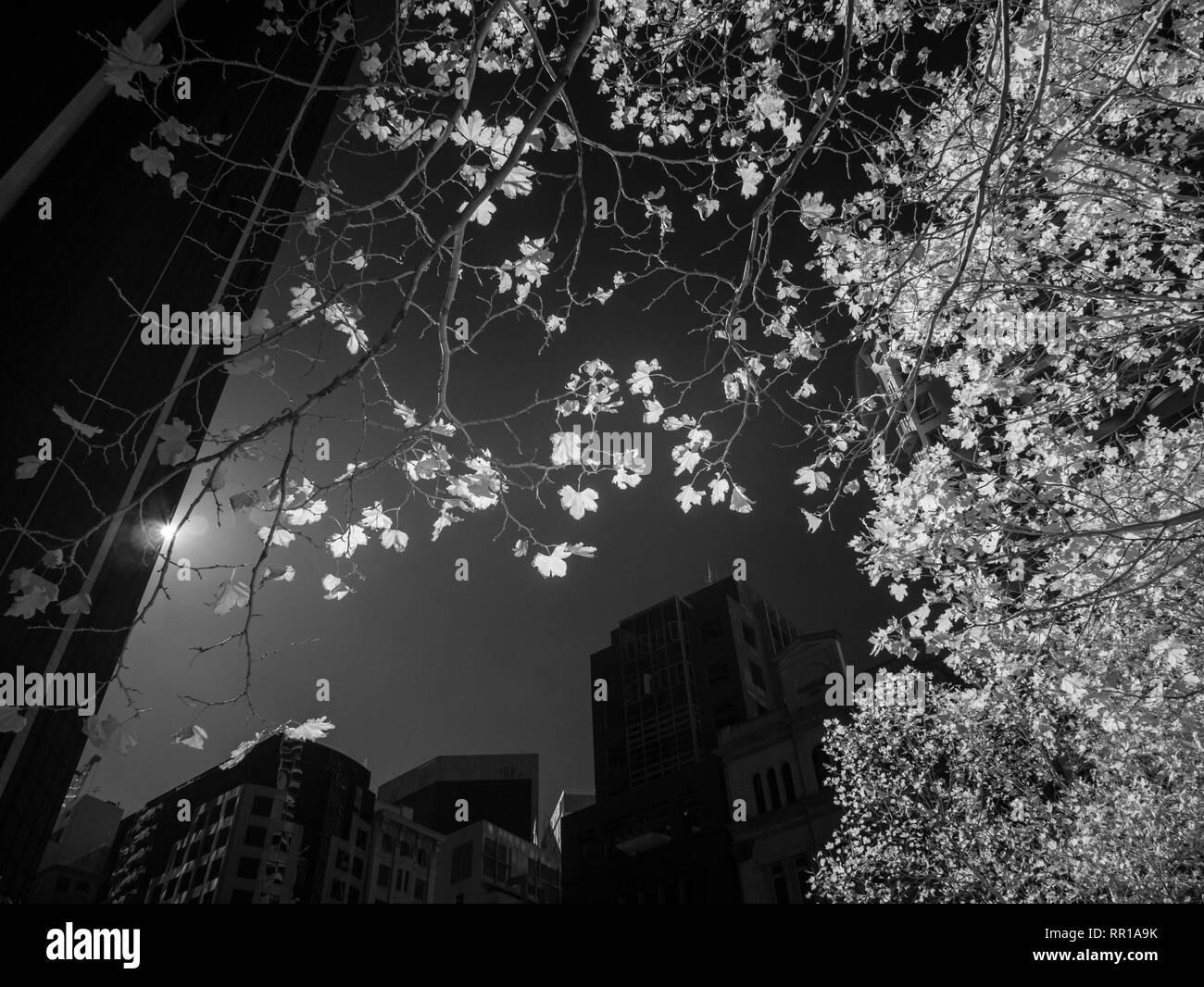 Infra red cityscapes with vegetation Stock Photo - Alamy