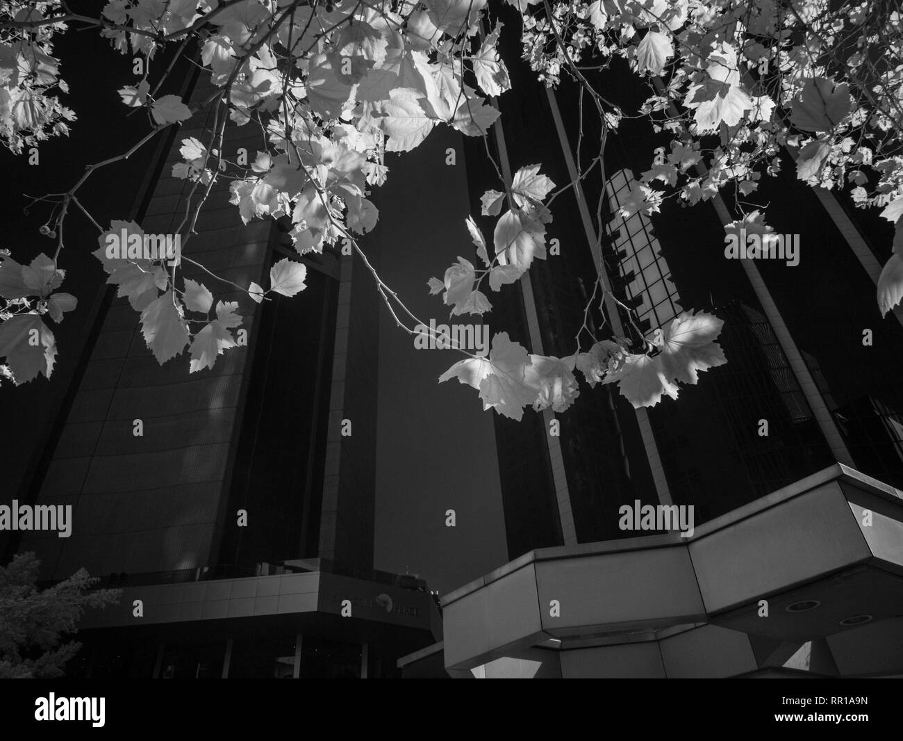 Infra red cityscapes with vegetation Stock Photo - Alamy