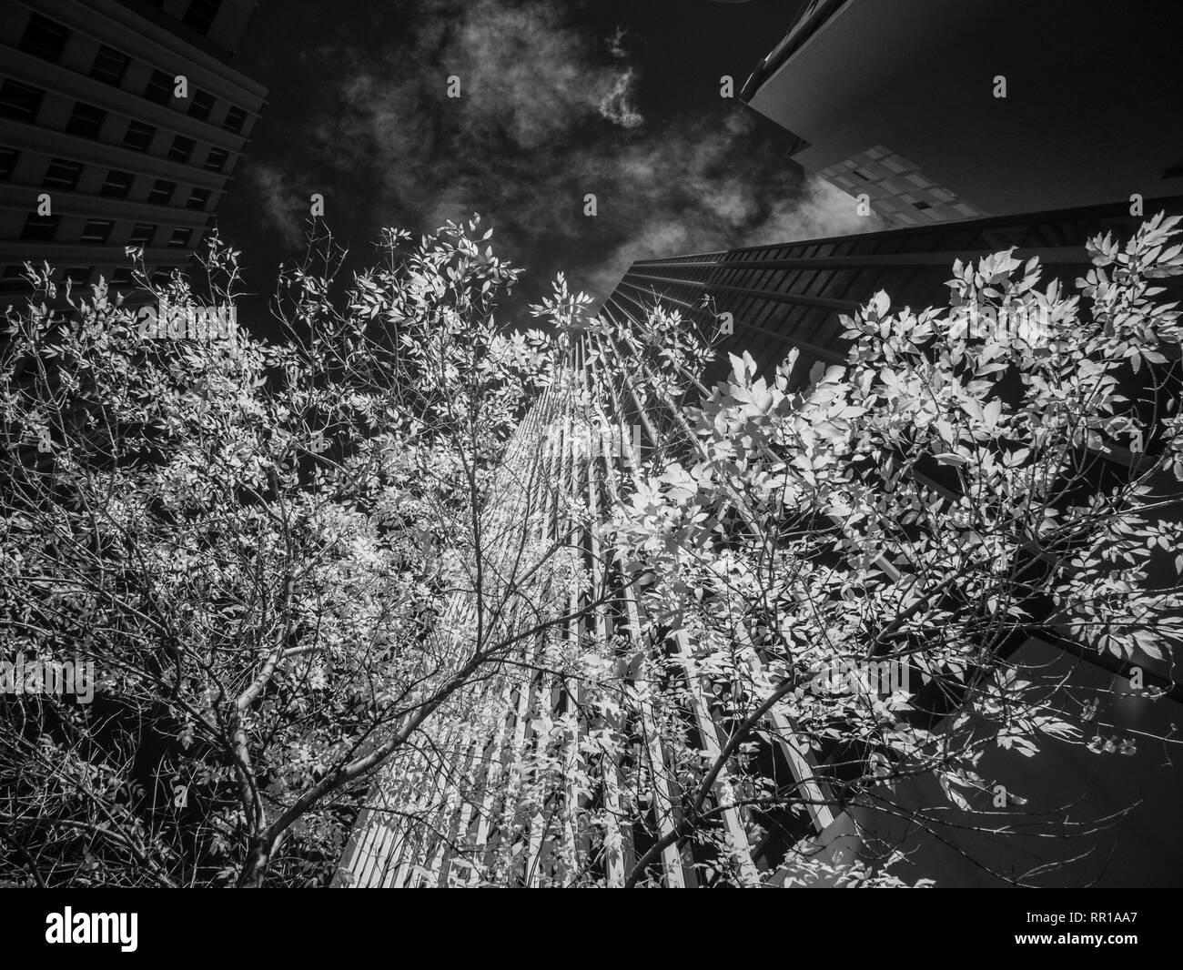 Infra red cityscapes with vegetation Stock Photo - Alamy