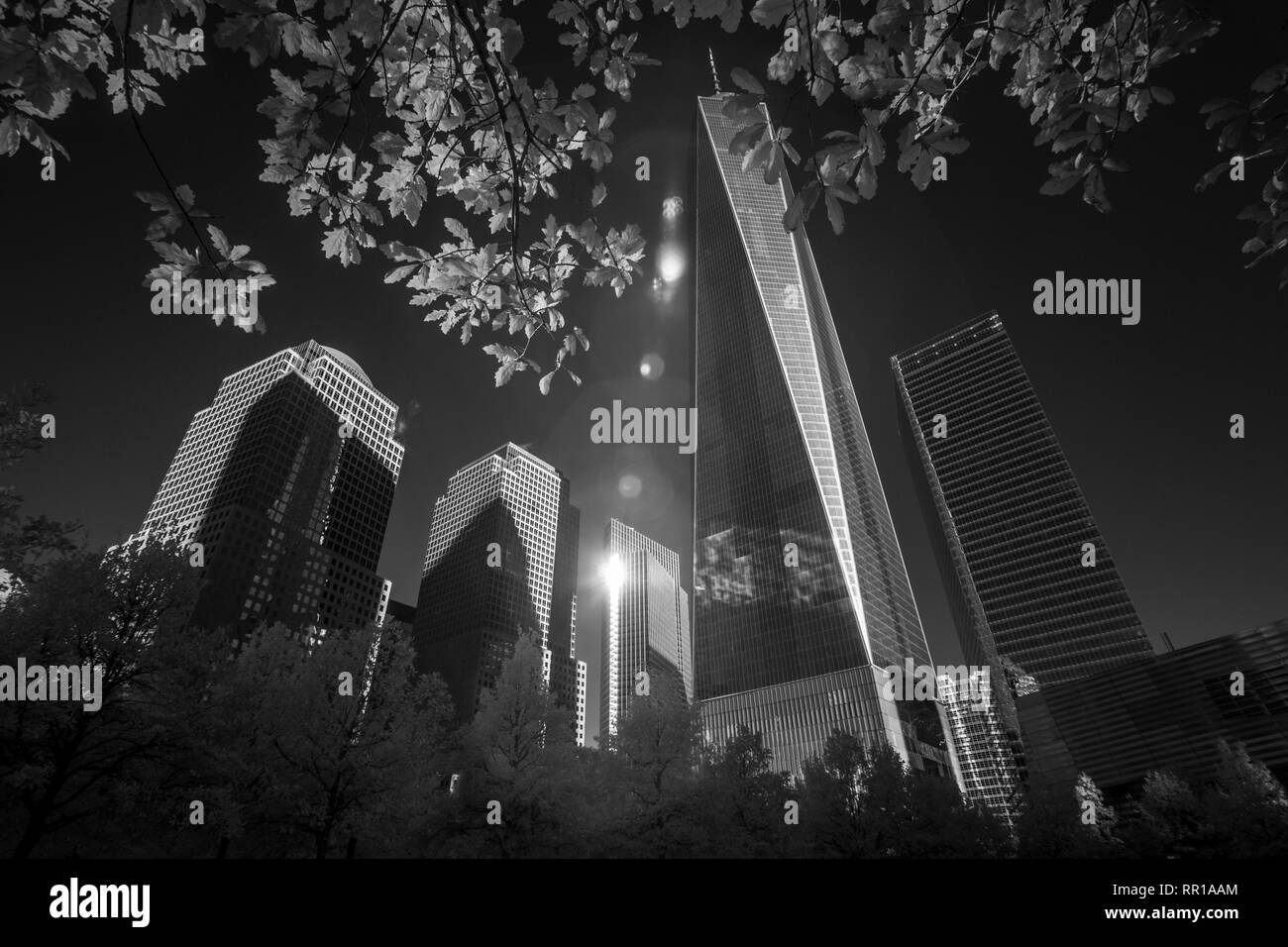 One red and one white Black and White Stock Photos & Images - Alamy