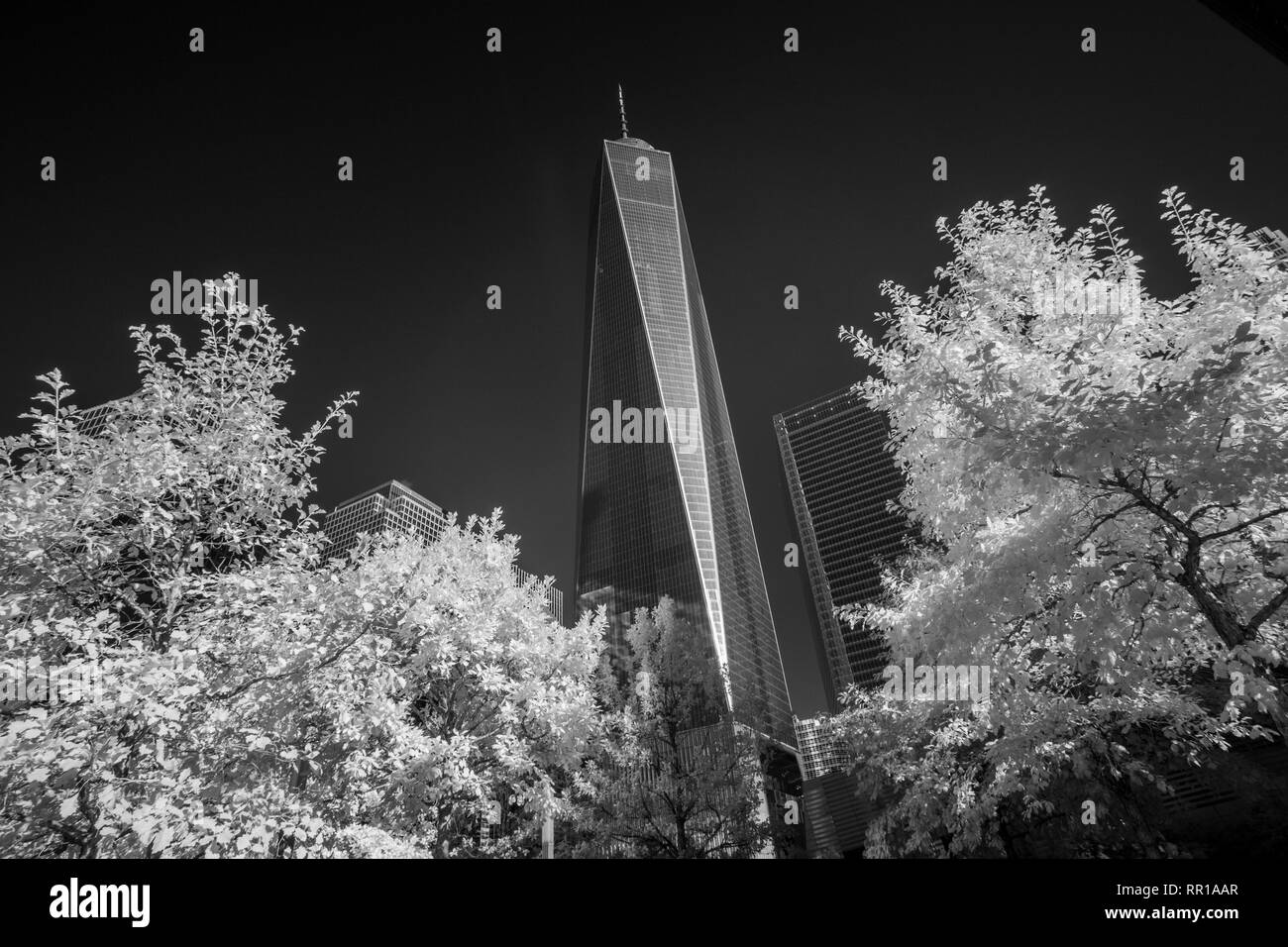 One red and one white Black and White Stock Photos & Images - Alamy