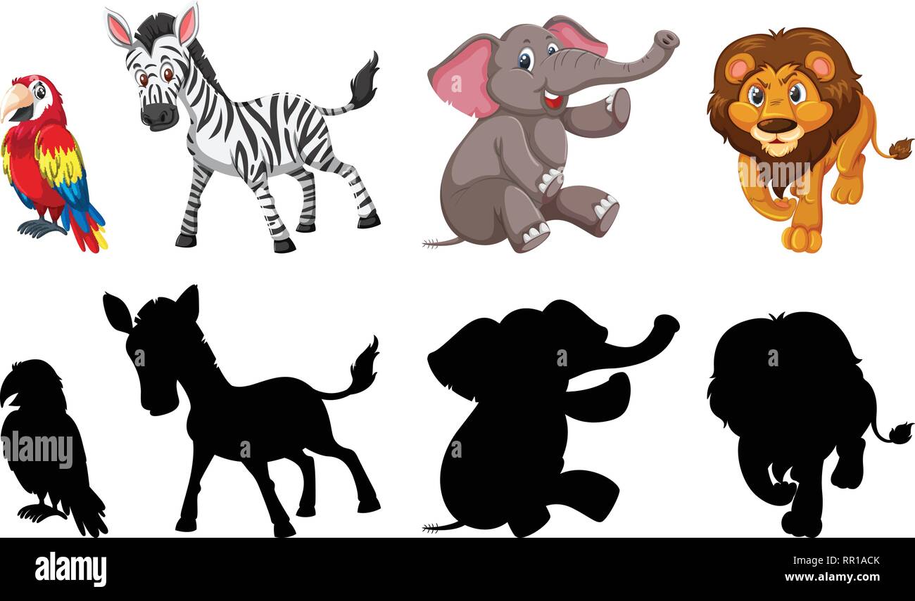 Set of wild animals illustration Stock Vector Image & Art - Alamy