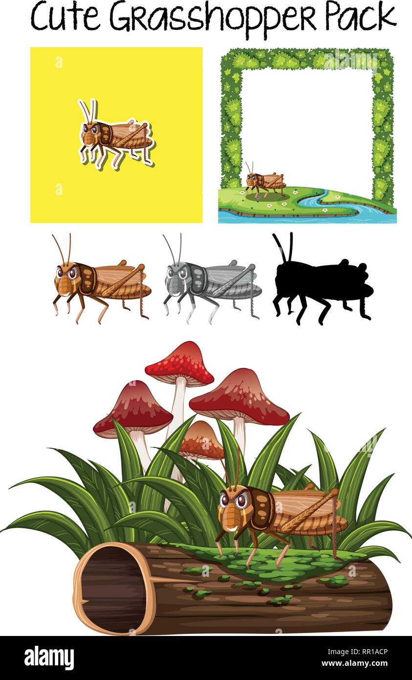 A pack of grasshopper illustration Stock Vector Image & Art - Alamy
