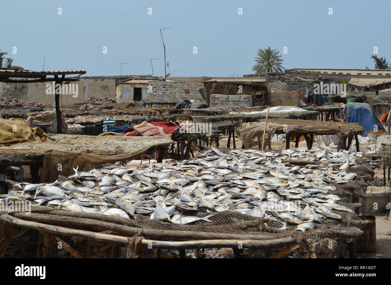 Processing areas for traditional production of sun-dried, braised and ...